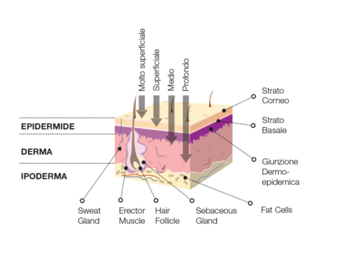 Peeling System - Dermoaroma