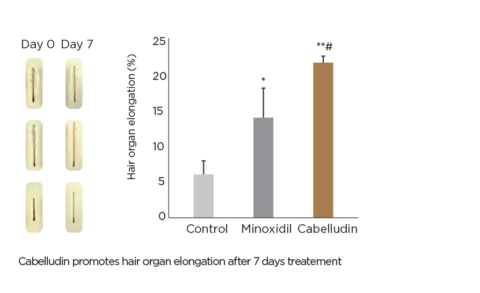 Purasomes - Dermoaroma