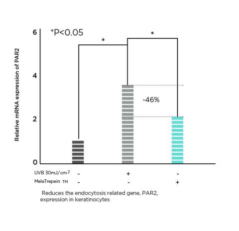 Purasomes - Dermoaroma