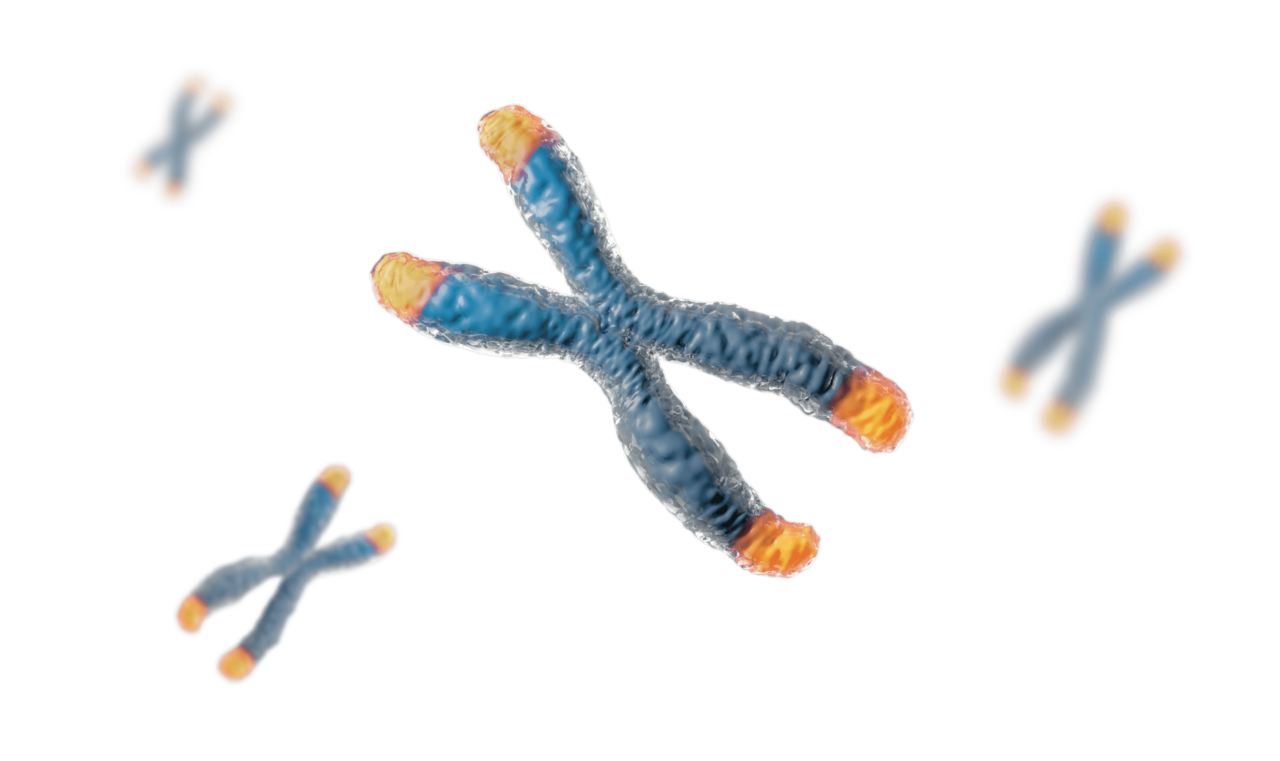 Purasomes XCell - Dermoaroma
