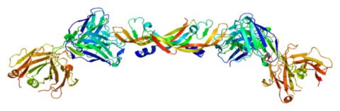 Purasomes XCell - Dermoaroma